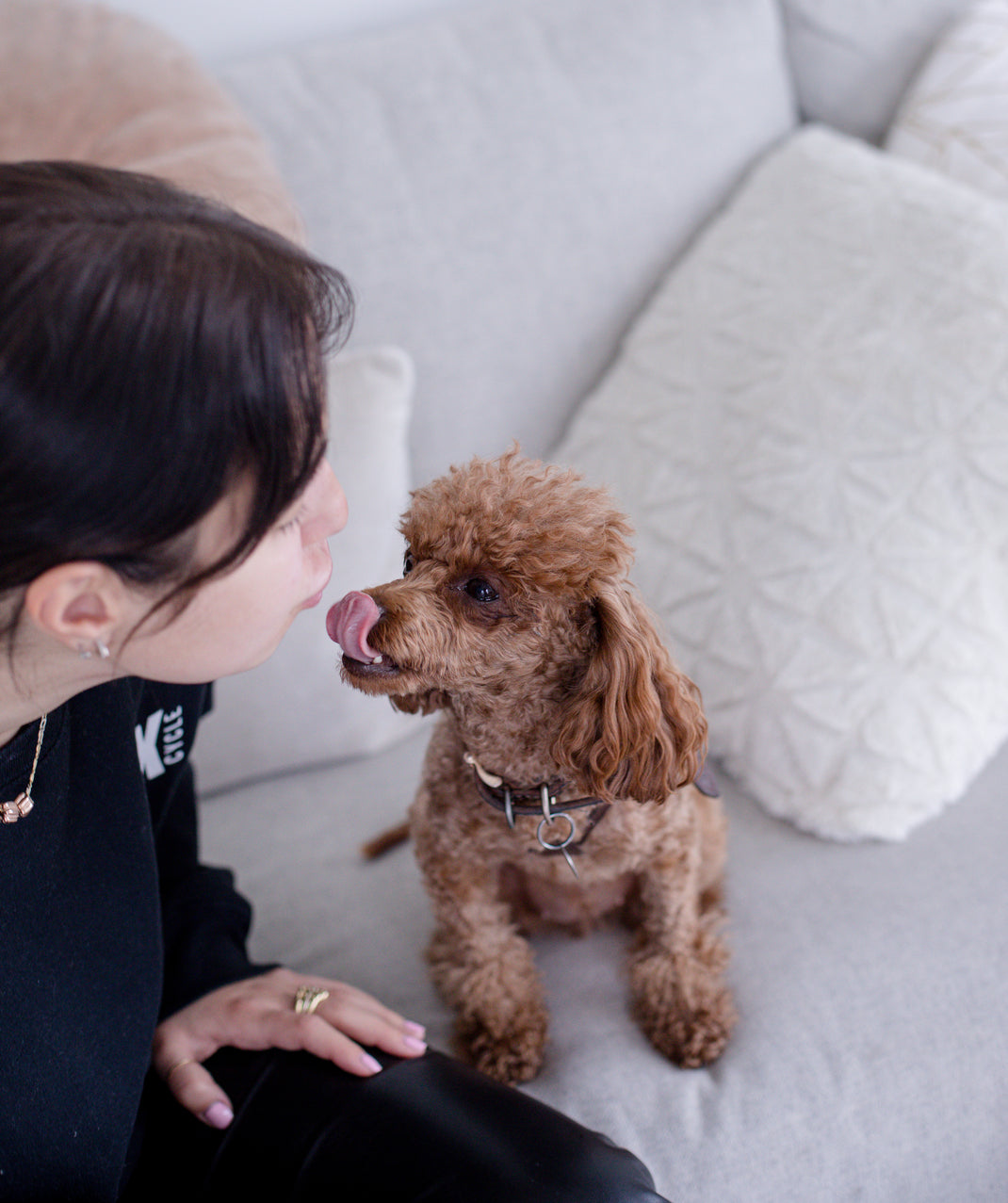 Pups & Cubs Premium Pet Food